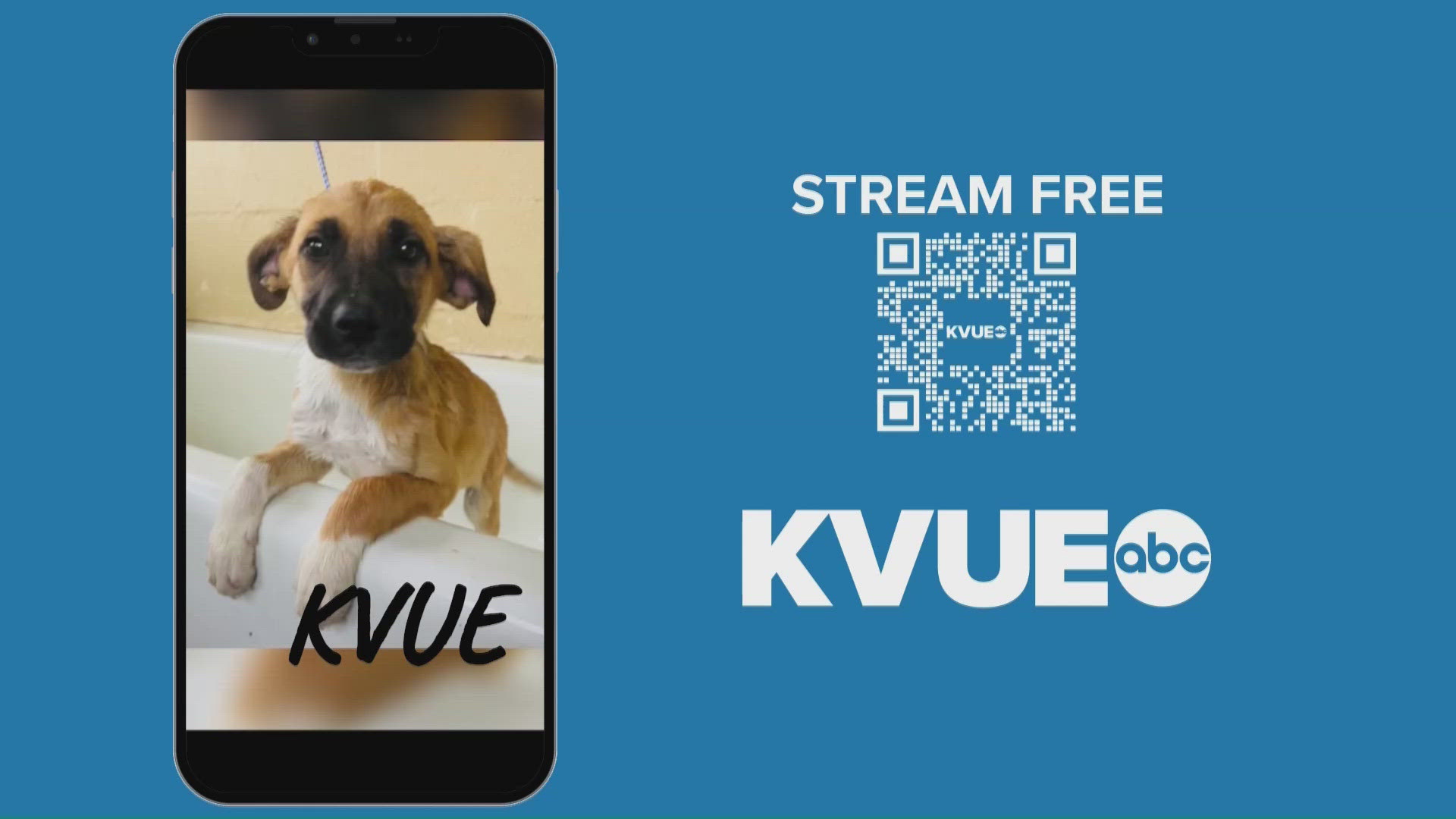 Austin woman's nonprofit names 3 dogs after KVUE | kvue.com