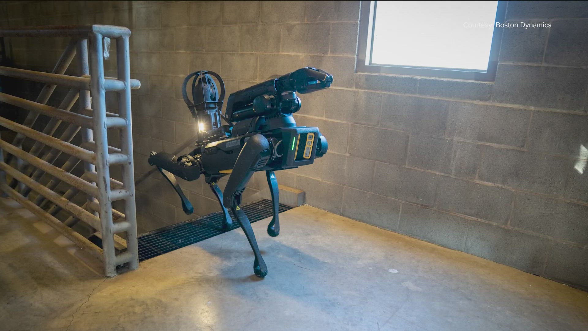 Austin Police Department to acquire robot dog | kvue.com