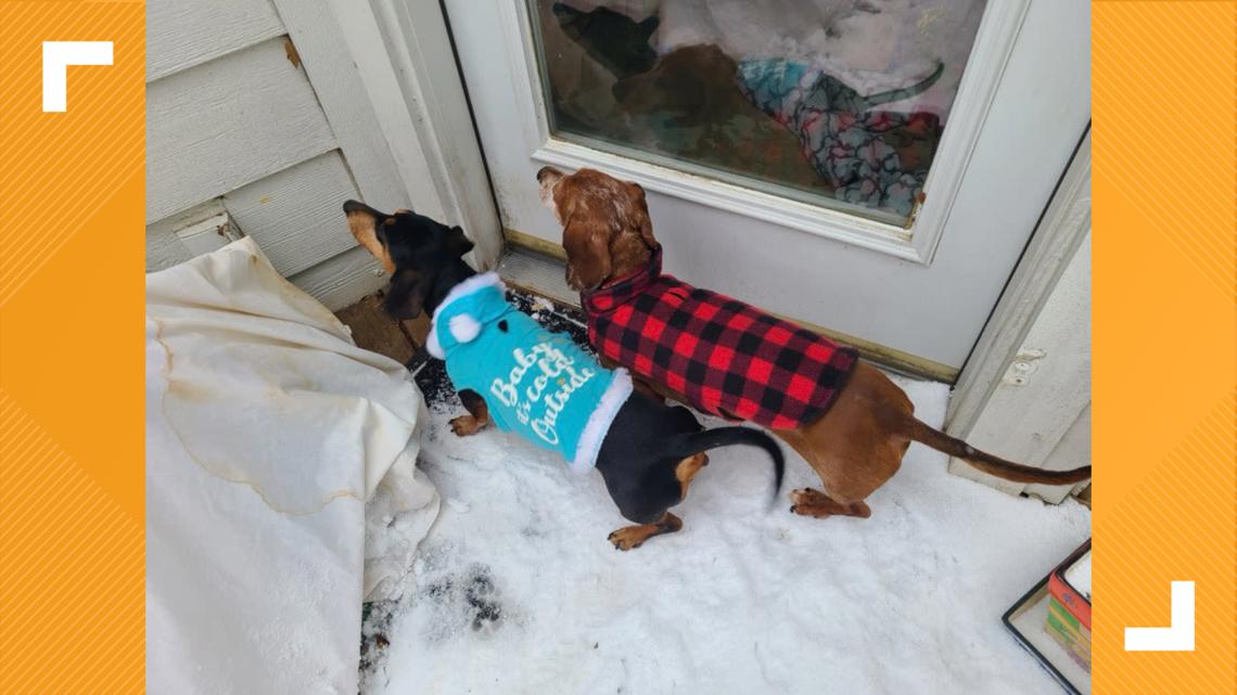 Snow in Austin, Texas: Photos show winter weather across Central Texas ...