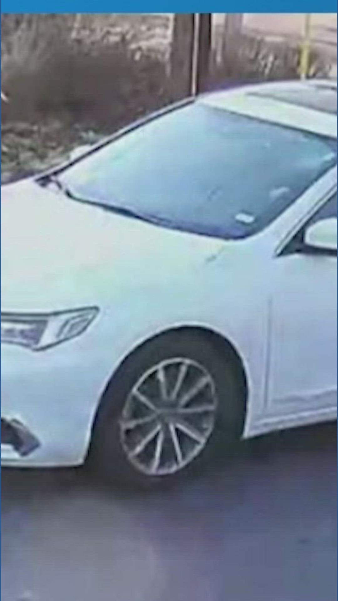 Suspect sought after person injured, cat killed in February hit-and-run ...