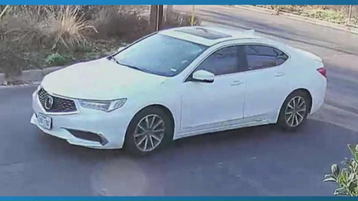 Suspect sought after person injured, cat killed in February hit-and-run ...