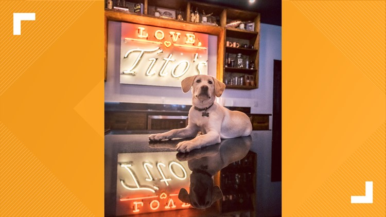 To celebrate its 25th anniversary, Tito's invited all dogs named Tito ...