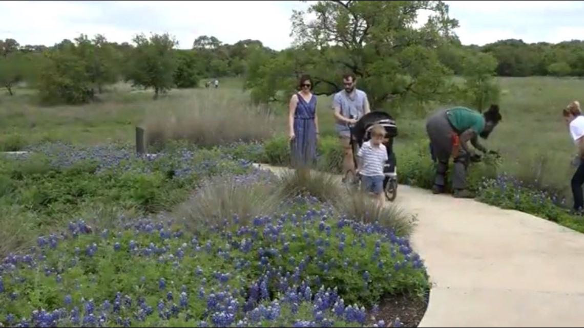 Record-setting weekend springs into Lady Bird Johnson Wildflower Center ...