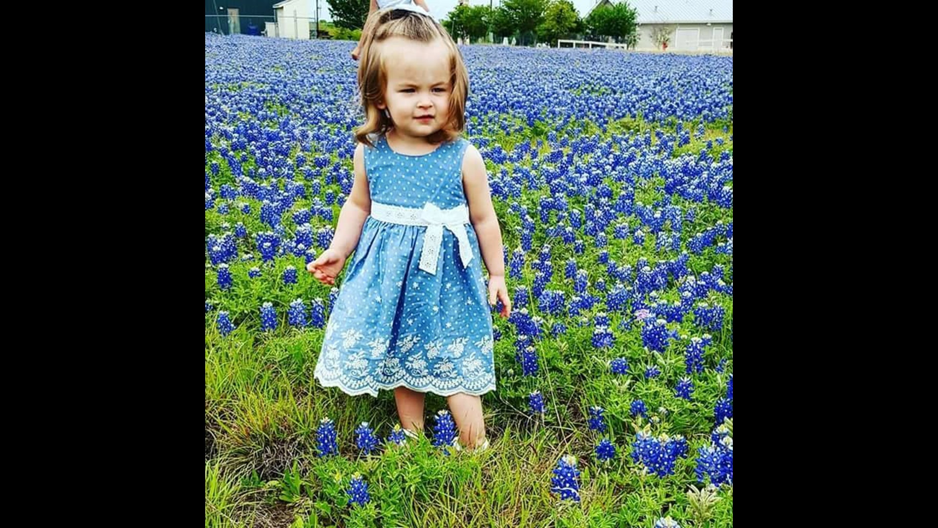 Here's a list of the best Central Texas spots for bluebonnet pictures ...
