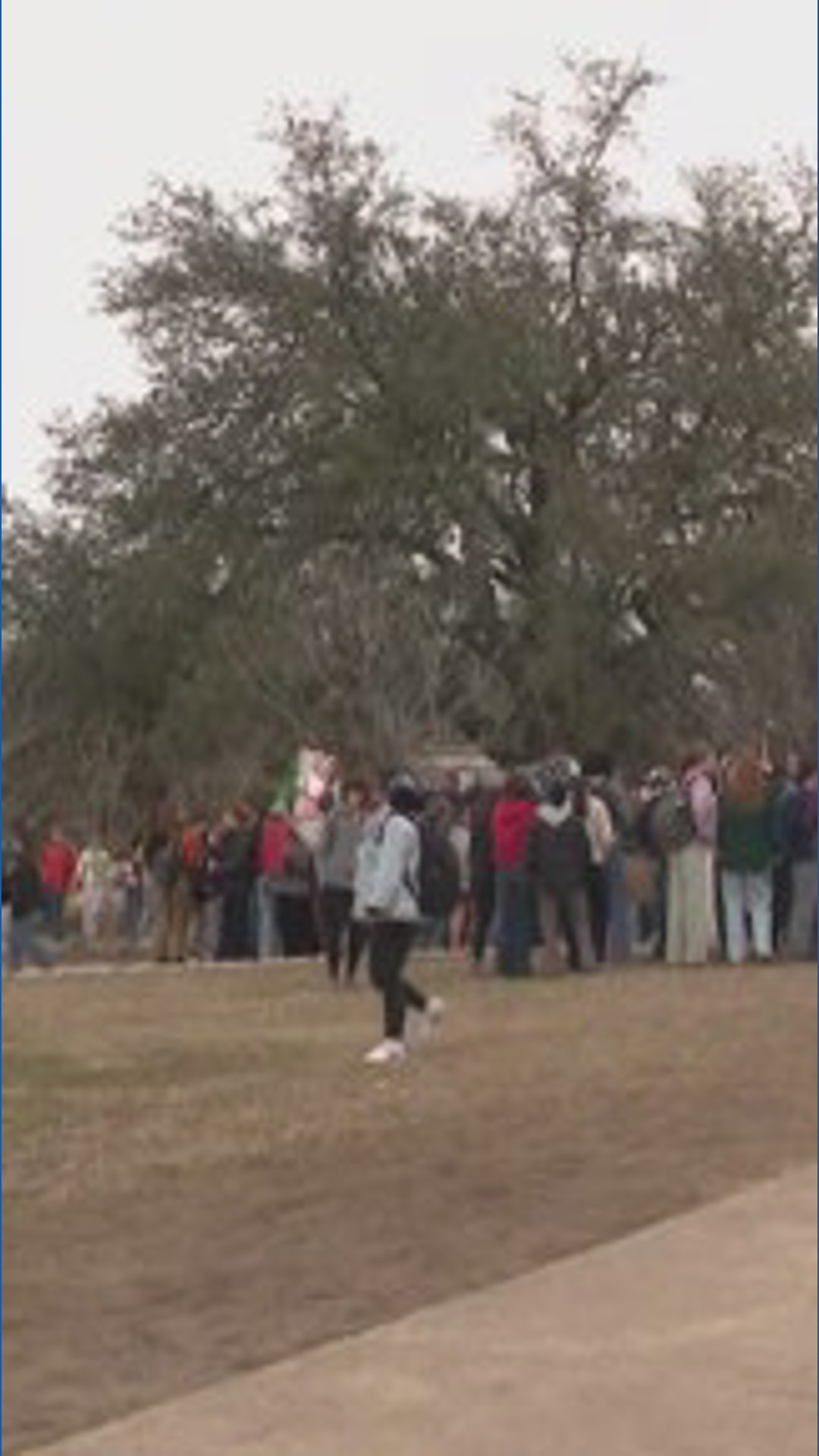 McCallum High School students stage anti-ICE walkout | kvue.com