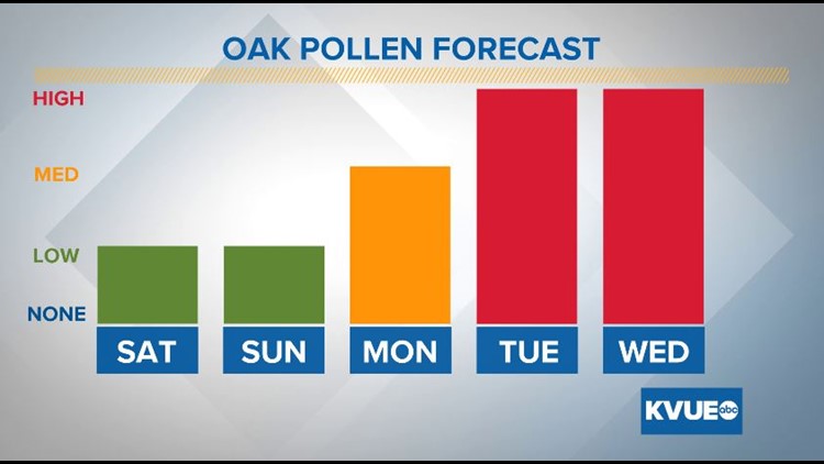Highest oak pollen count in Austin-area, but relief coming | kvue.com