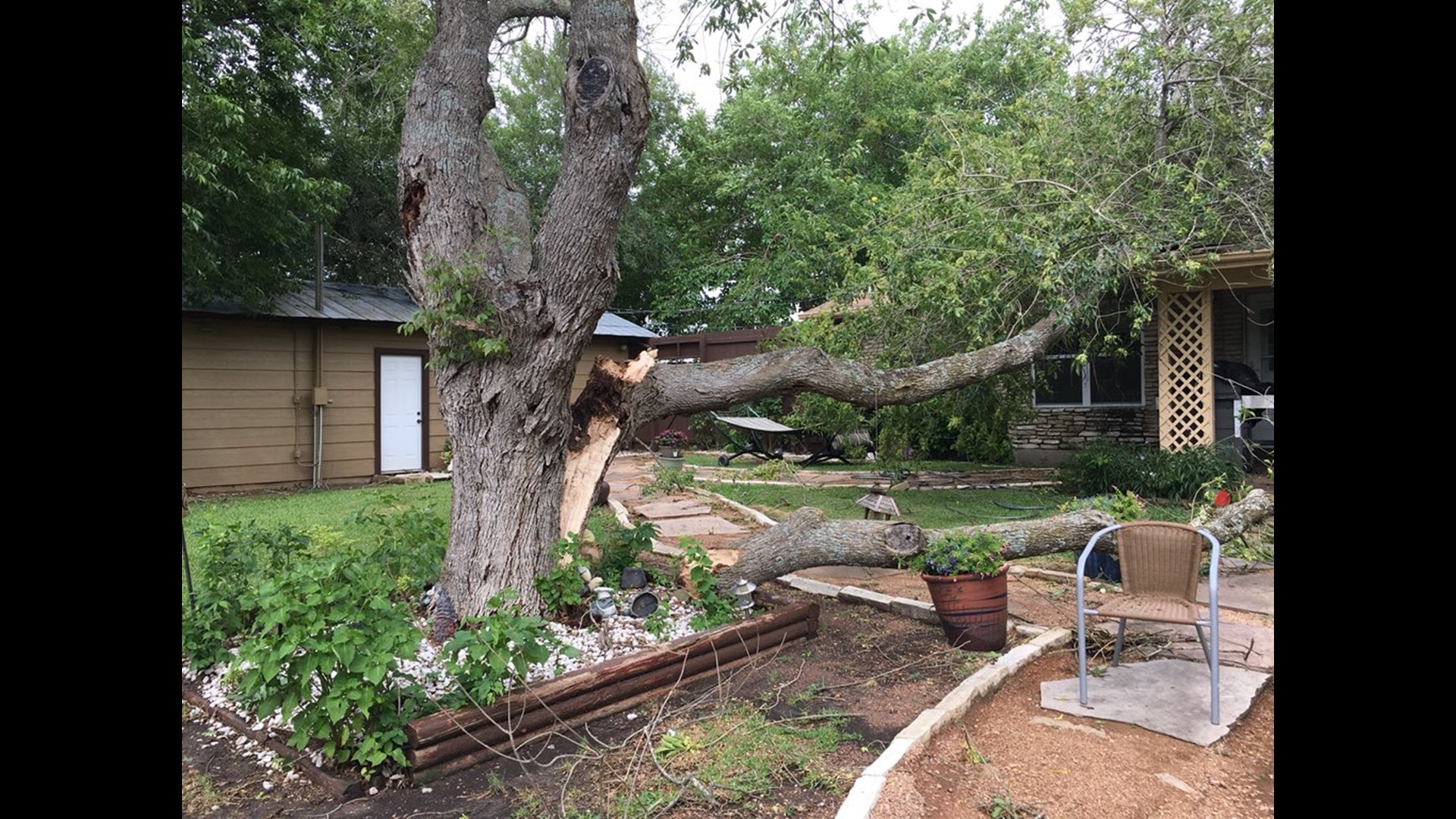 PHOTOS: Strong storms knock over trees, power lines in Austin area ...