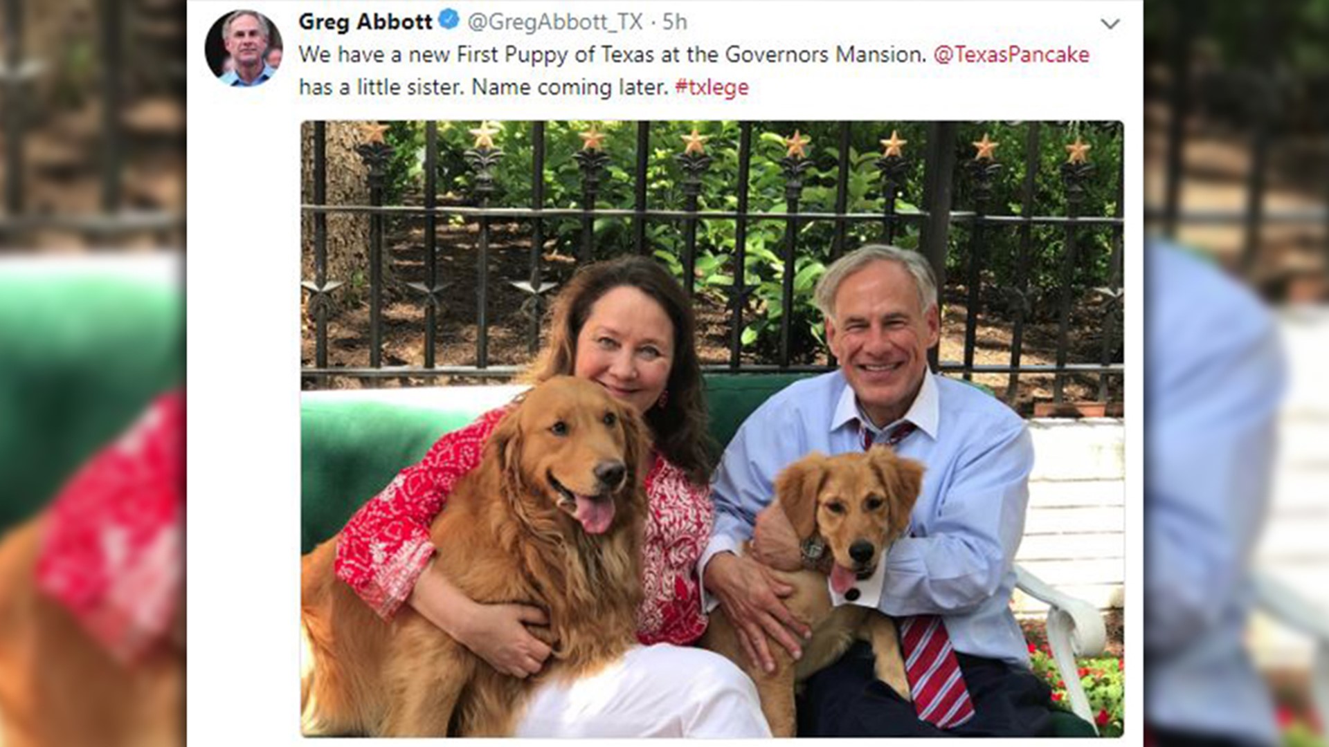 Gov. Abbott welcomes a new -- and furry -- addition to his family ...