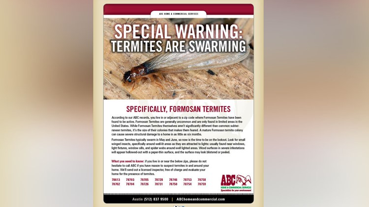 Early onset of heat wave behind bug infestations in Central Texas ...