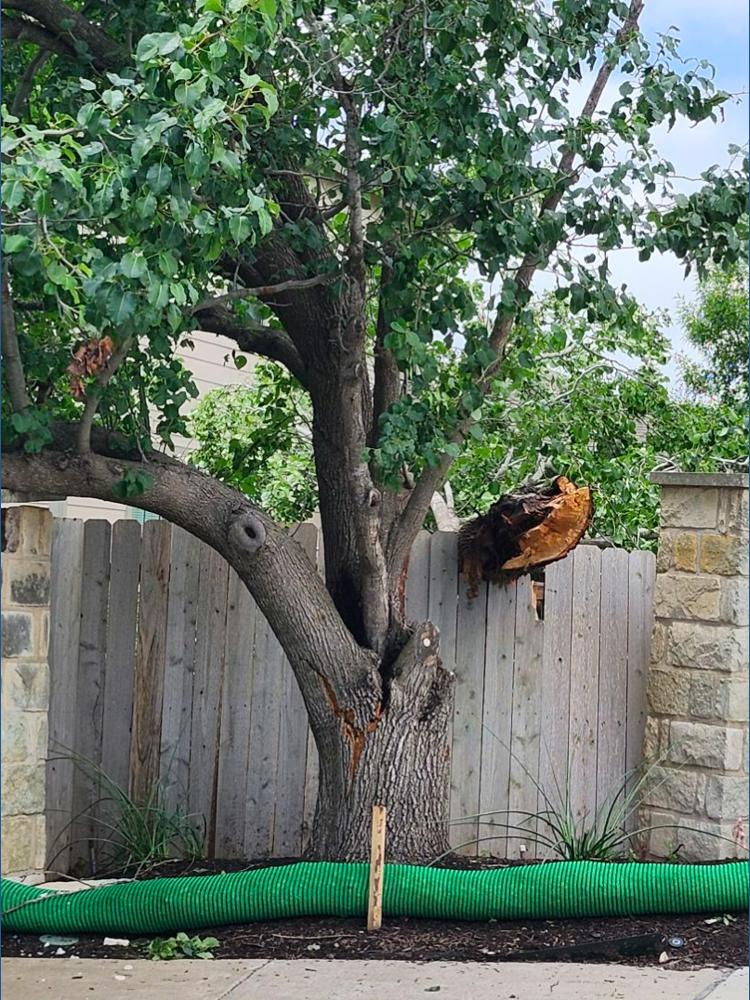 Austin storm damage: Severe weather leaves path of destruction | kvue.com