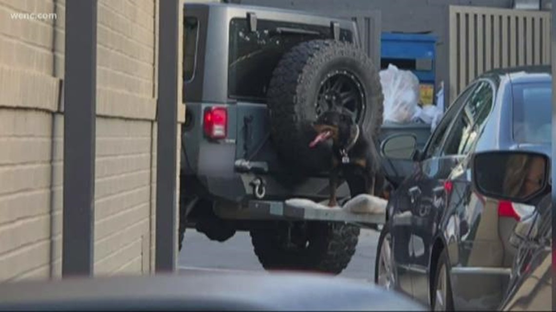 Picture showing dog chained to moving Jeep prompts police investigation ...