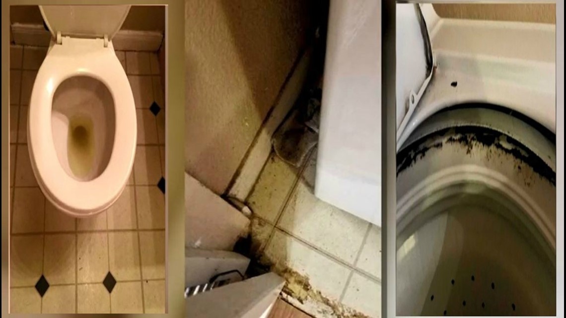 Students find bugs, mold, and urine in Central East Austin apartments ...