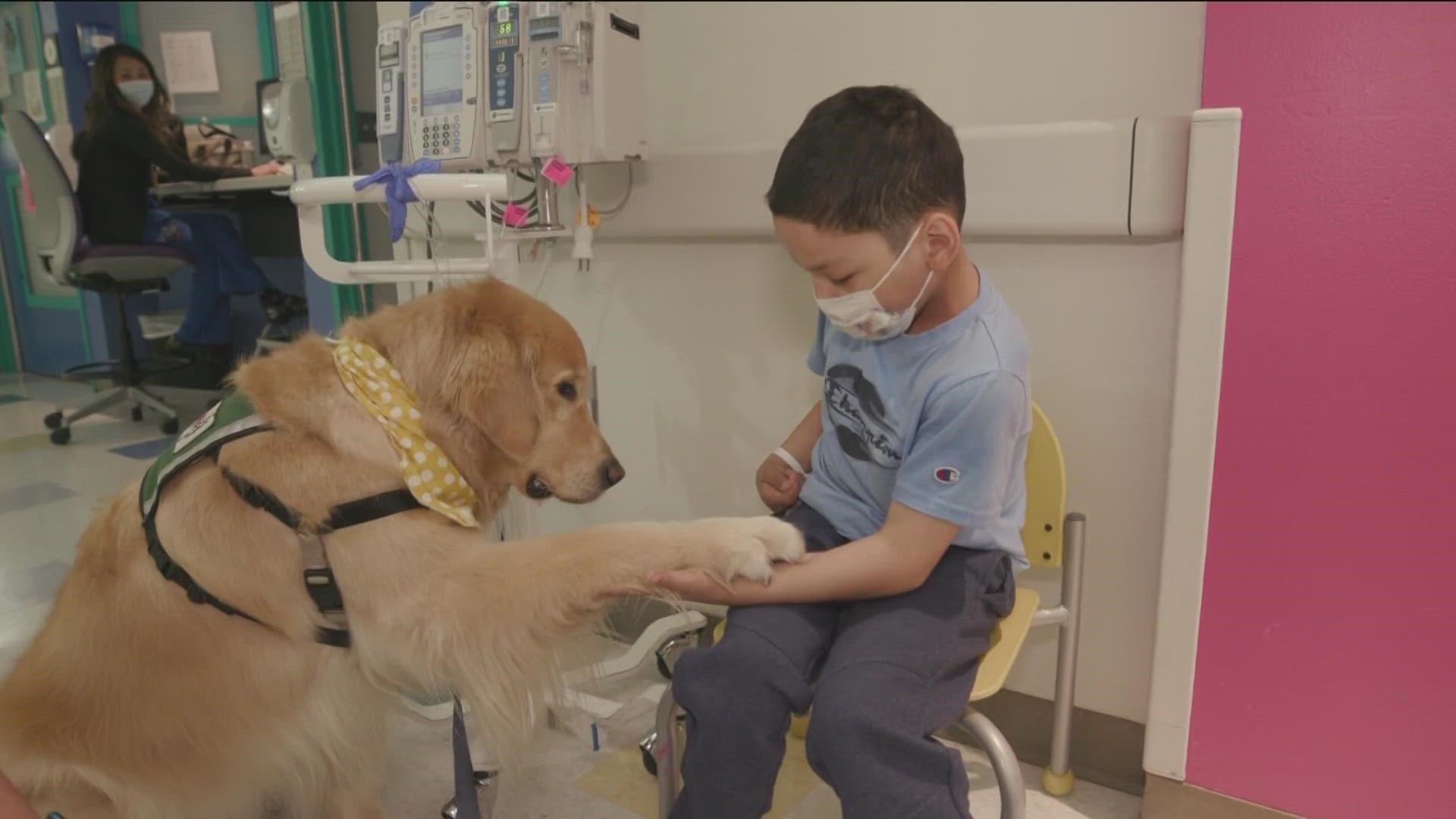 Dogs visit Texas Children's Hospital cancer patients | kvue.com