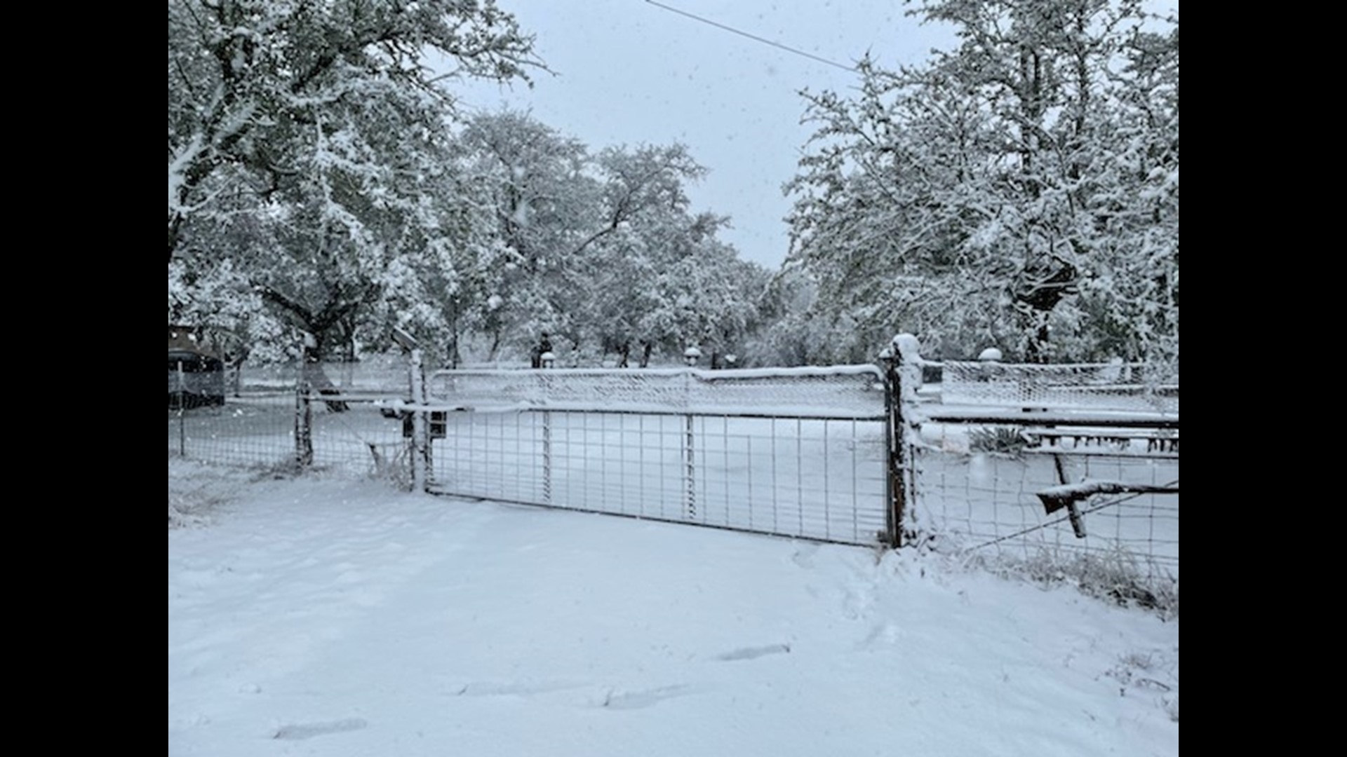 Austin area snowfall totals, Jan. 10, 2021 | kvue.com