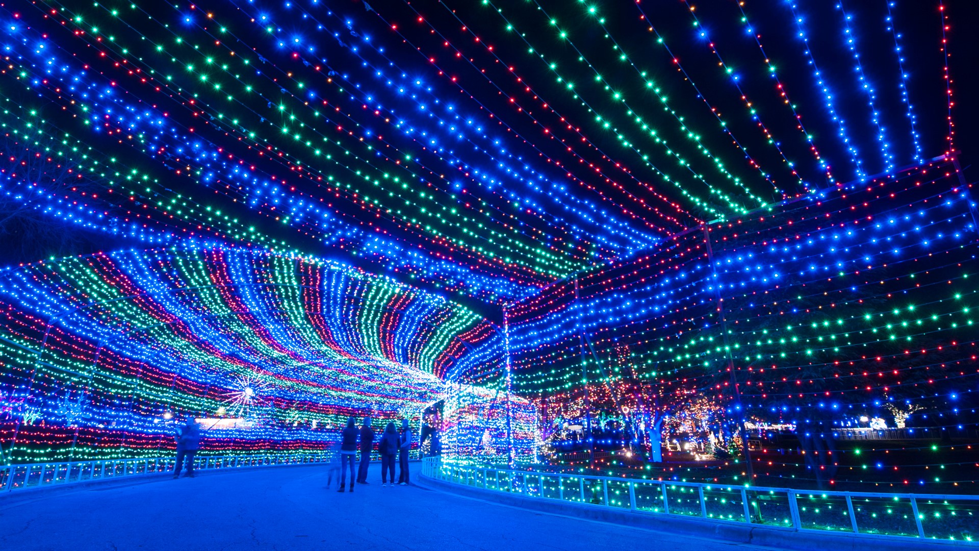 PHOTOS: Austin Trail of Lights 2019 | kvue.com