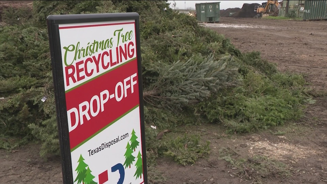 Here's where to recycle your live Christmas tree in Central Texas ...