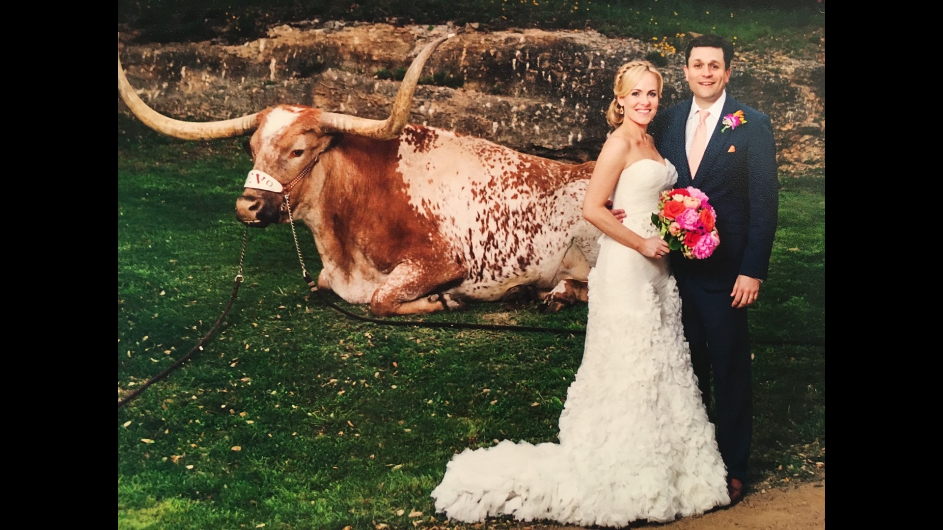 Even after his death, Longhorns mascot Bevo XIV could save lives, UT ...