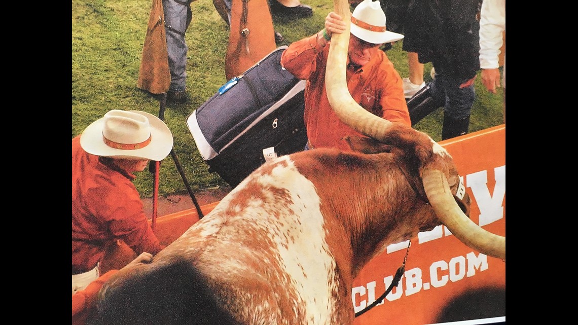 How an Austin-area family became the owners of UT mascot Bevo | kvue.com