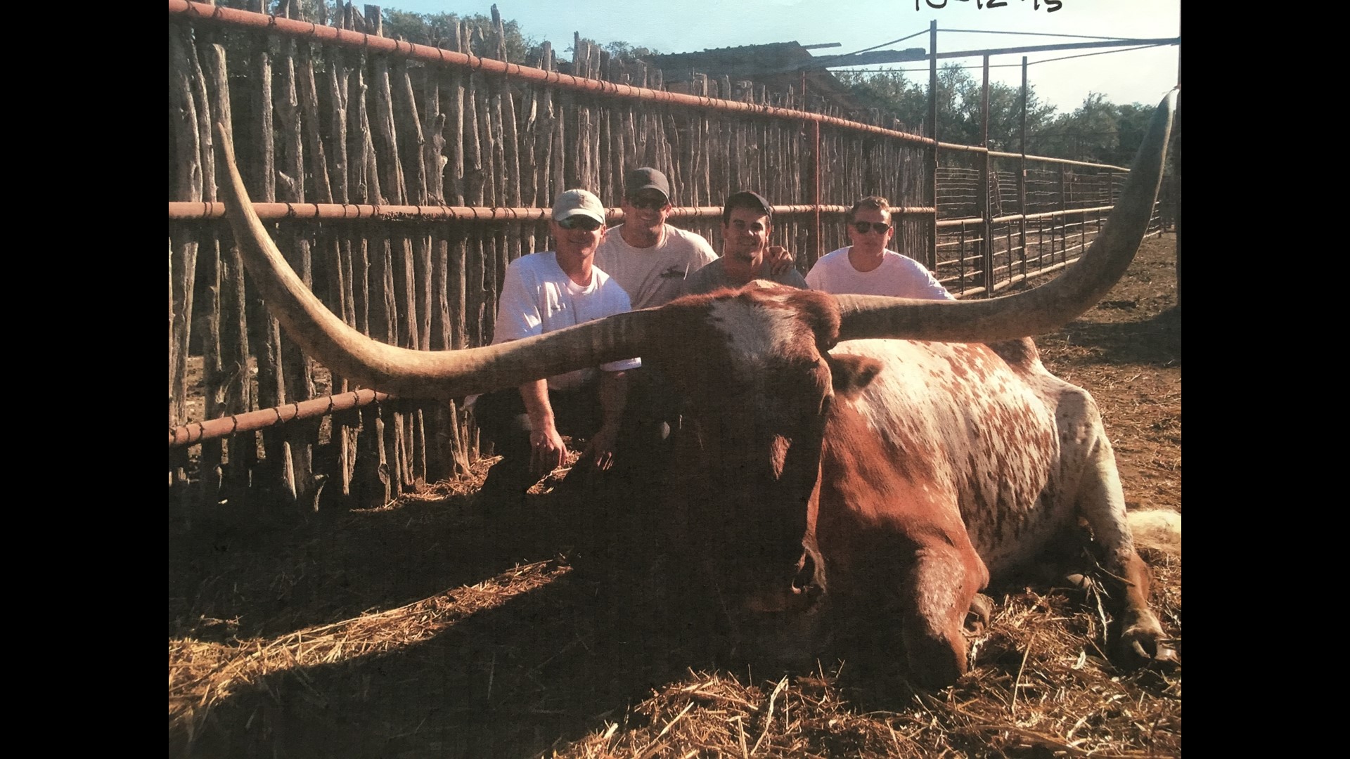 How an Austin-area family became the owners of UT mascot Bevo | kvue.com