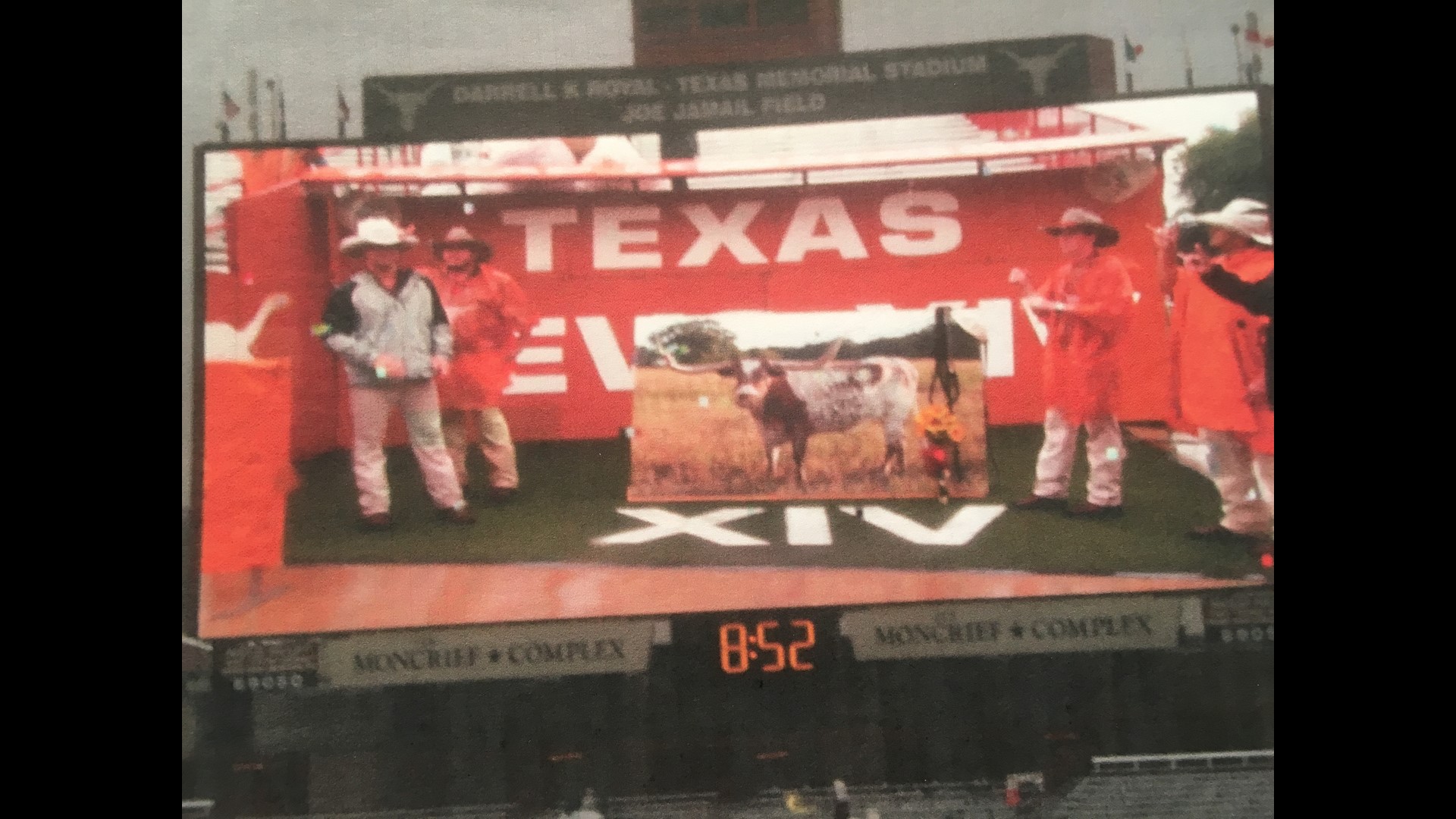 How an Austin-area family became the owners of UT mascot Bevo | kvue.com