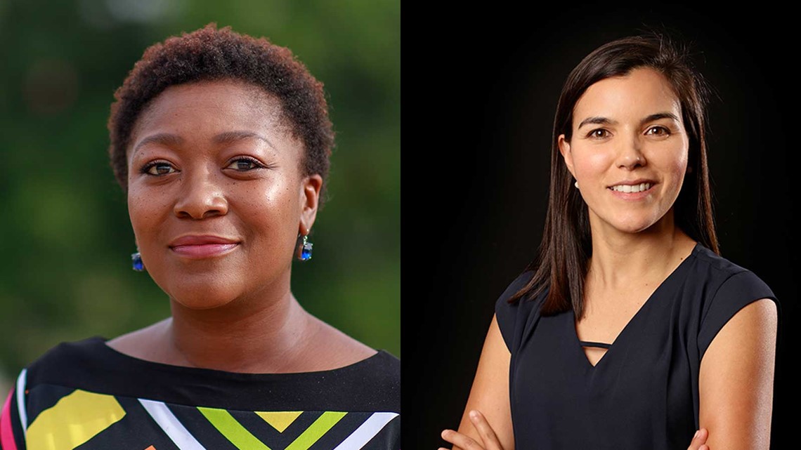Vote Texas: Austin City Council Runoff District 1 | kvue.com