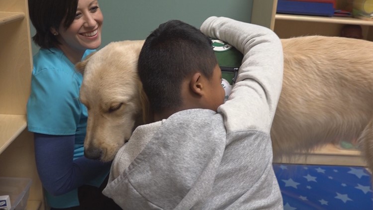 Meet Solo: Clinic's first full-time therapy dog that's comforting ...