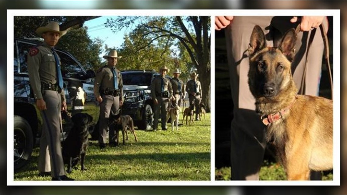 Texas DPS graduates five new canine teams | kvue.com