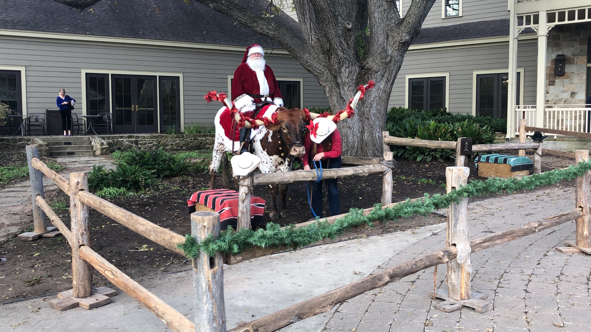 Santa ditches trusty sleigh for Texas longhorn at holiday event in ...