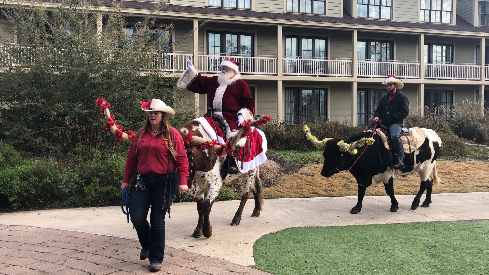 Santa ditches trusty sleigh for Texas longhorn at holiday event in ...