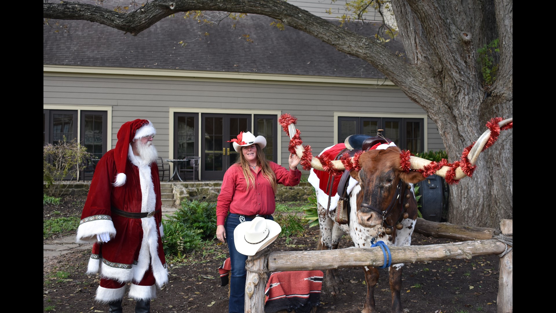 Santa ditches trusty sleigh for Texas longhorn at holiday event in ...