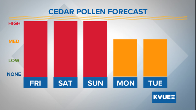 Second highest cedar pollen count of the season recorded in Austin ...