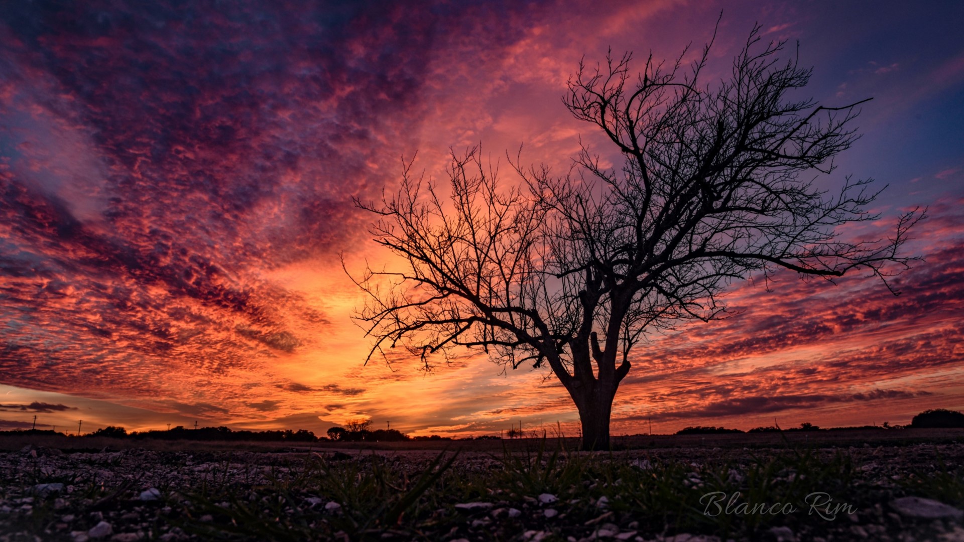 The making of a perfect sunset: what you need to look for | kvue.com