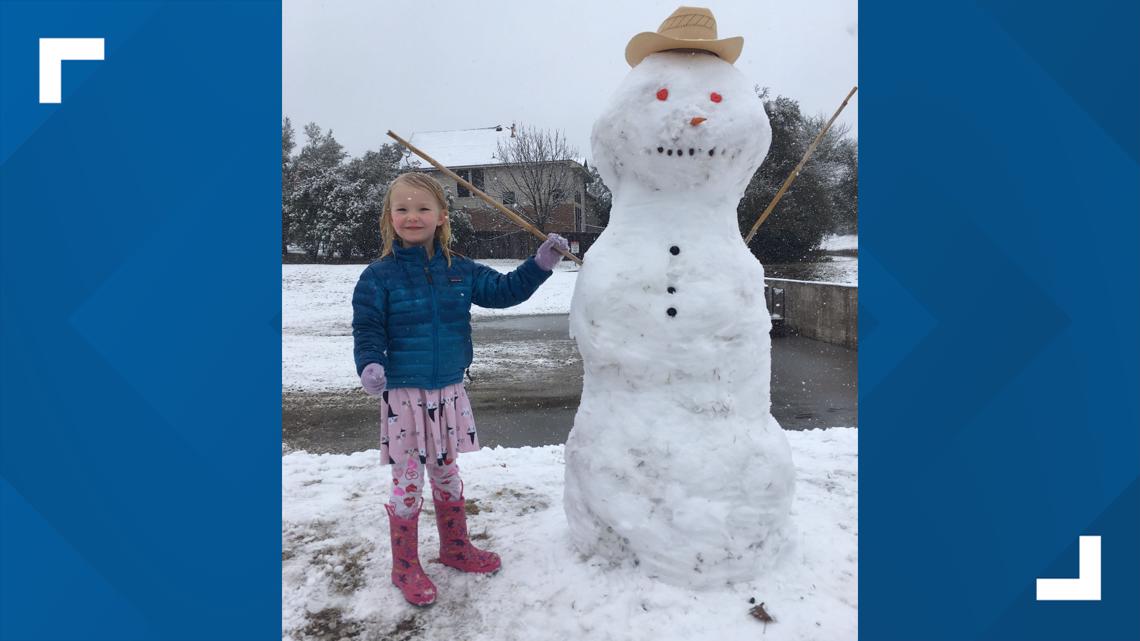 The Big Snow of 2021: Remembering Central Texas' snow day with your ...
