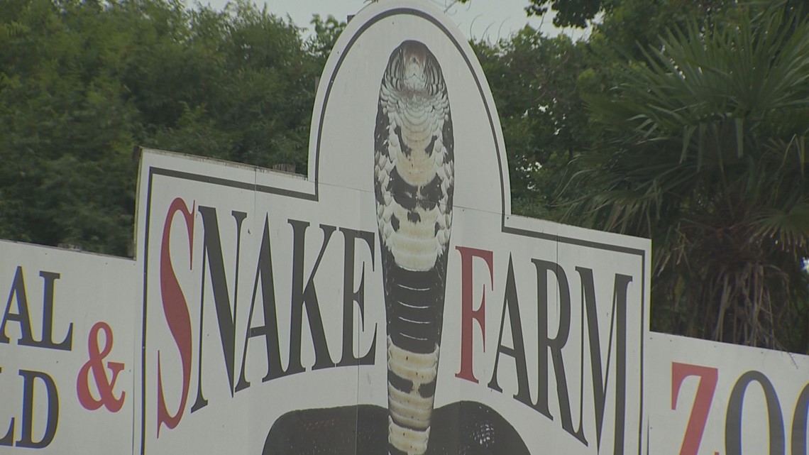 Animal World and Snake Farm Zoo in New Braunfels experience | kvue.com