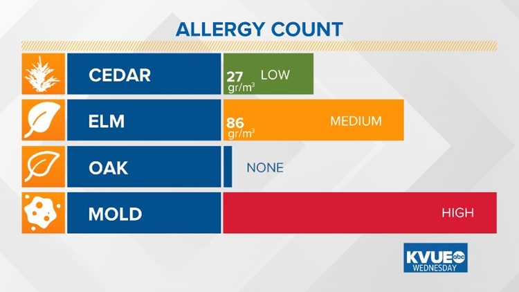 As cedar season nears its end, elm pollen season arrives in Central ...