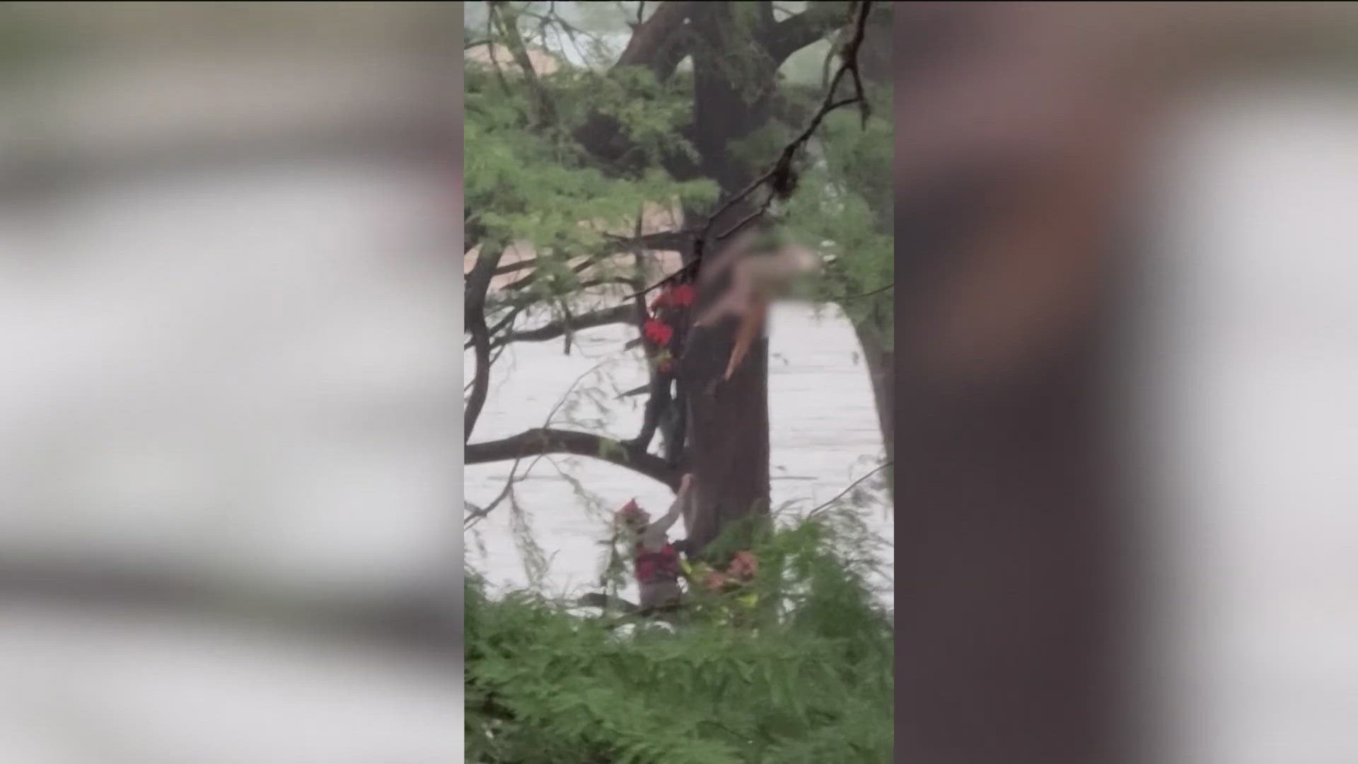 Center Point man helps rescue woman clinging to tree in raging ...
