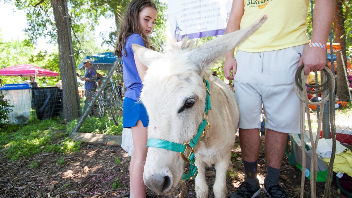 Eeyore's Birthday Party returns to Austin for 2023 | kvue.com