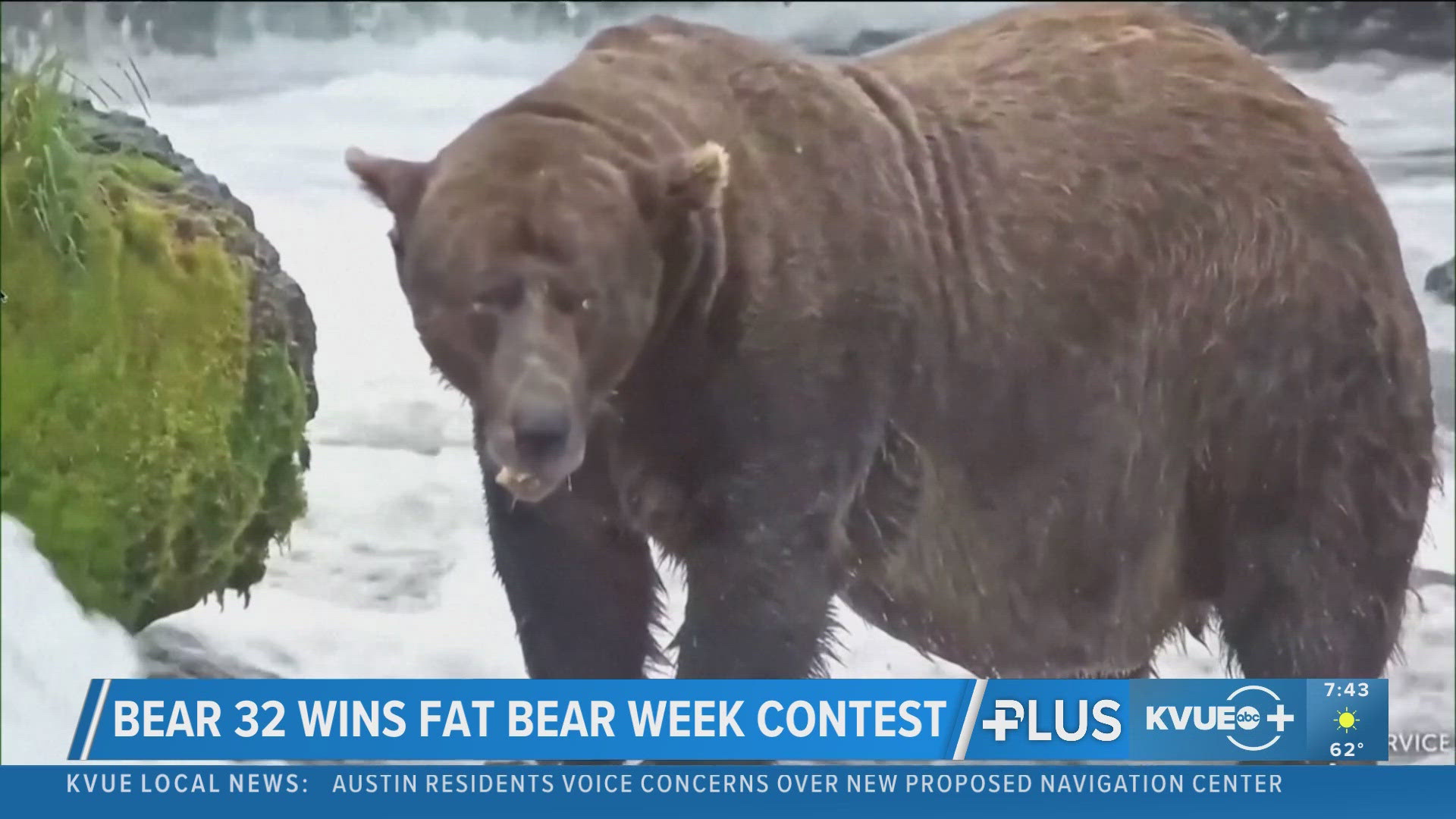 32 Chunk wins 2025 Fat Bear Week with record votes | kvue.com