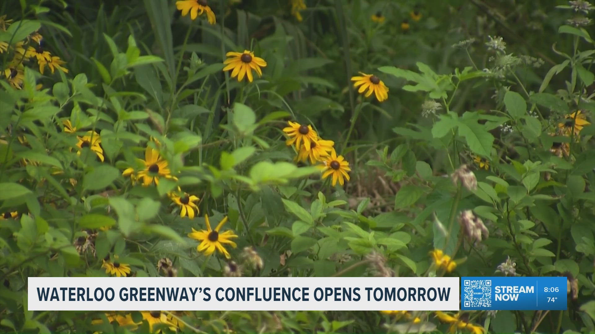 Second phase of Waterloo Greenway Project set to open Saturday in ...