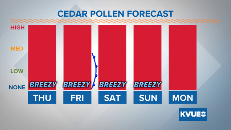 Austin allergies: Cedar pollen at highest level so far | kvue.com