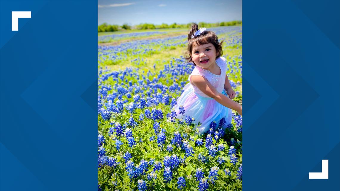 PHOTOS: Central Texans share their bluebonnet photos | kvue.com