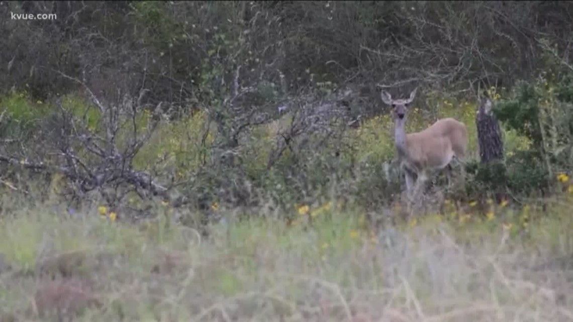 Texas state parks to reopen Monday with guidelines | kvue.com