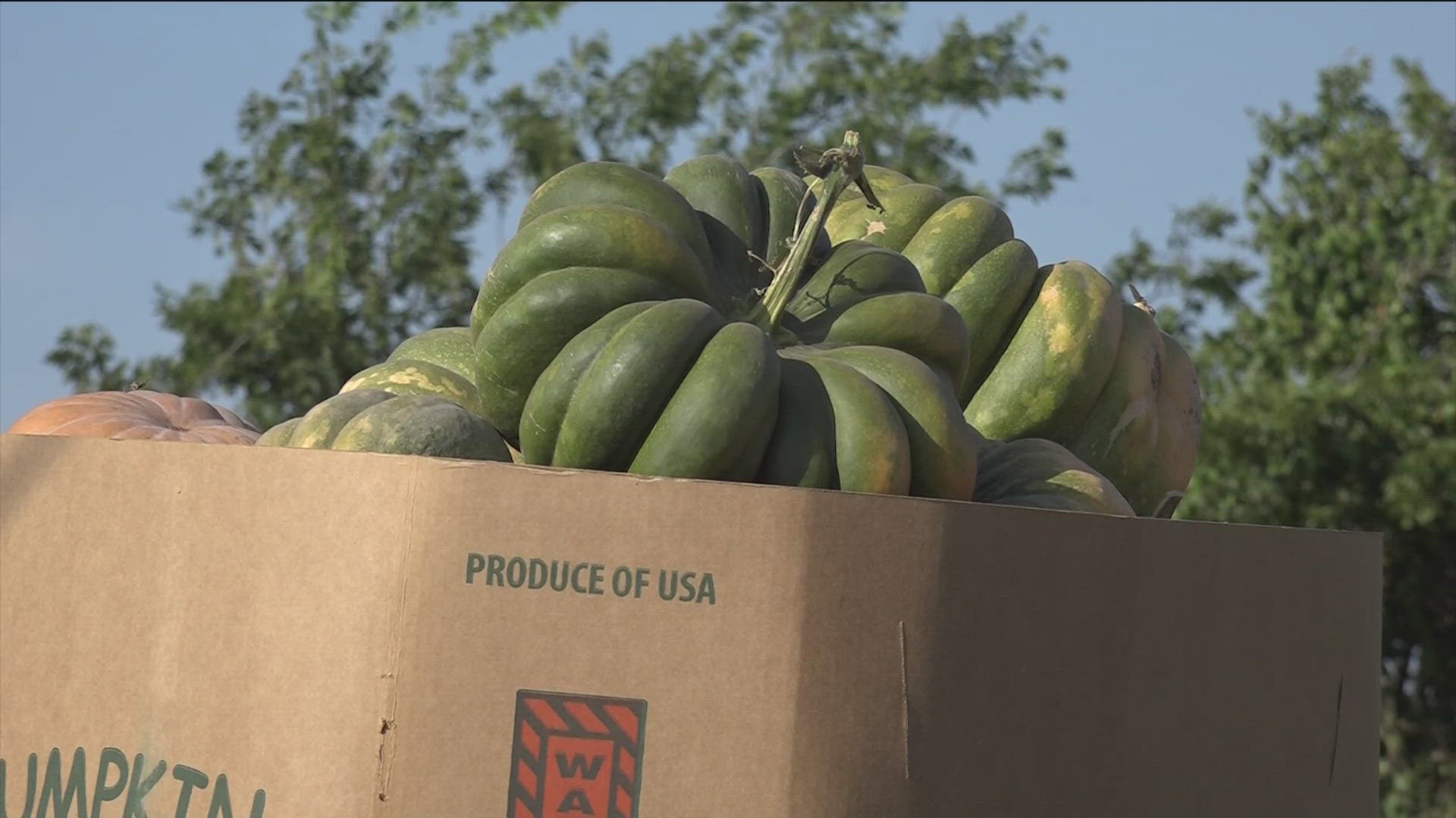 Fredericksburg orchard bounces back after summer rains, prepares for ...