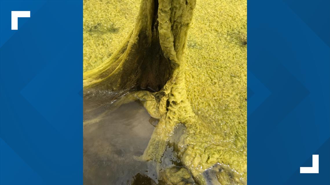 Texas residents fighting to keep treated wastewater out of lakes | kvue.com