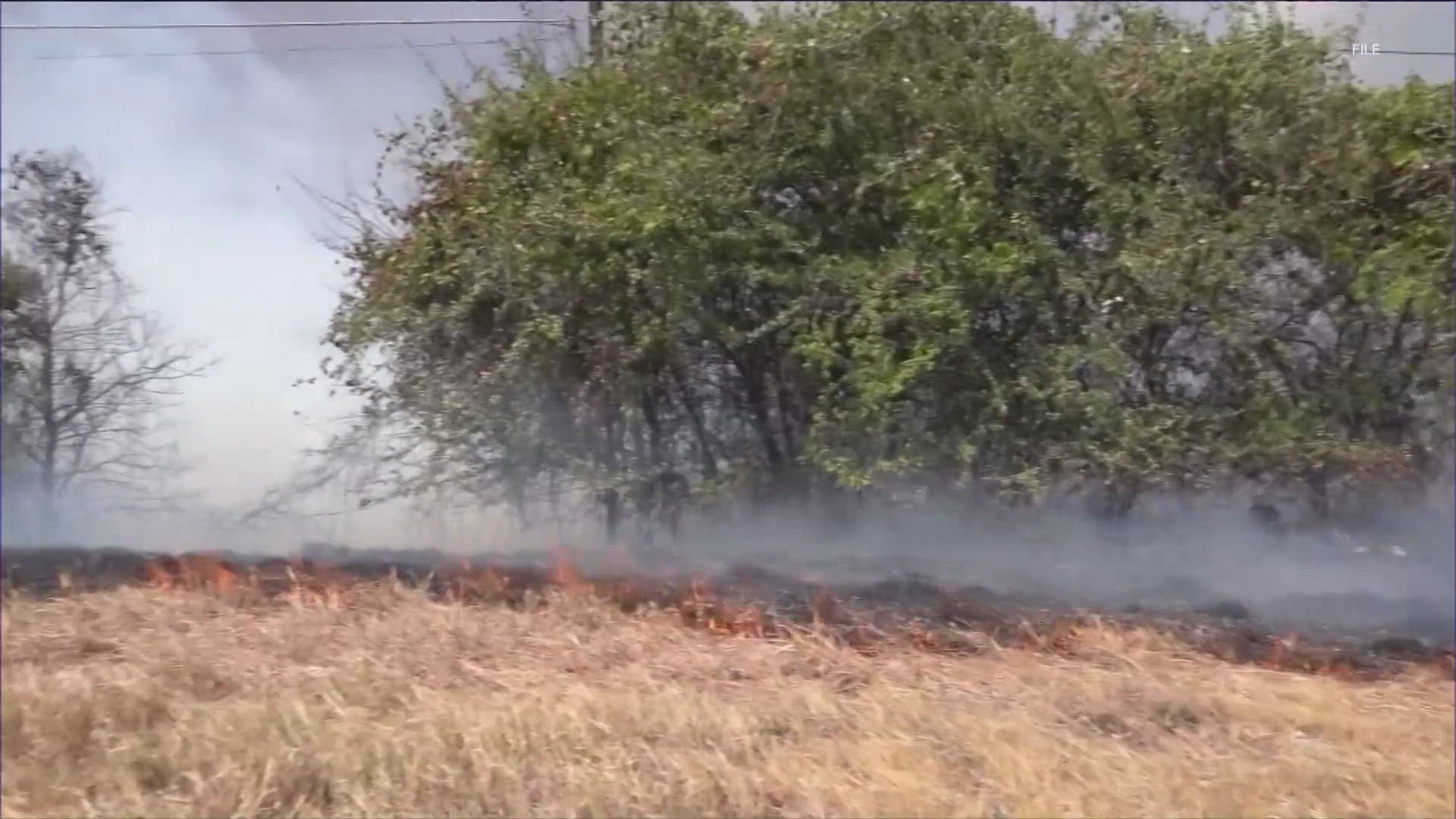 Travis County, City of Austin officials unveil wildfire initiative ...