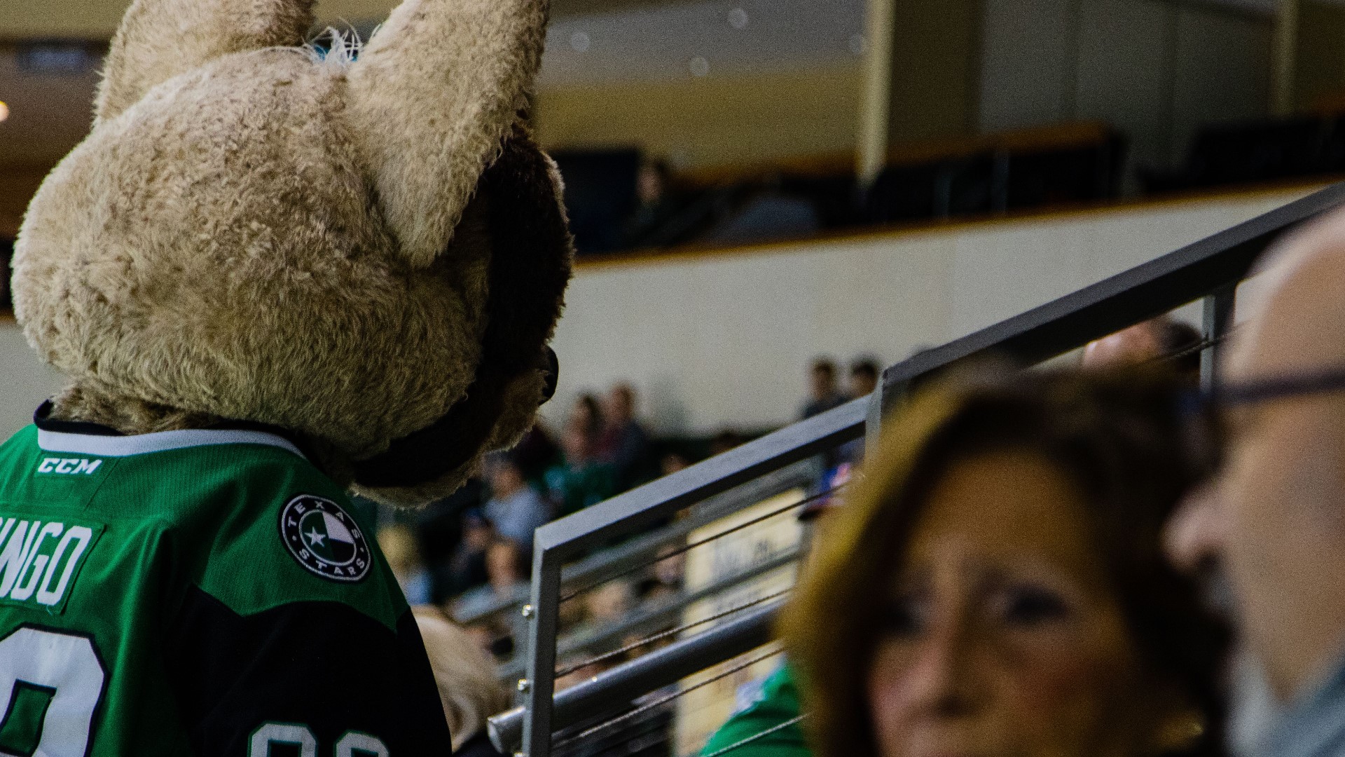 Cedar Park Texas Stars mascot Ringo has one goal | kvue.com