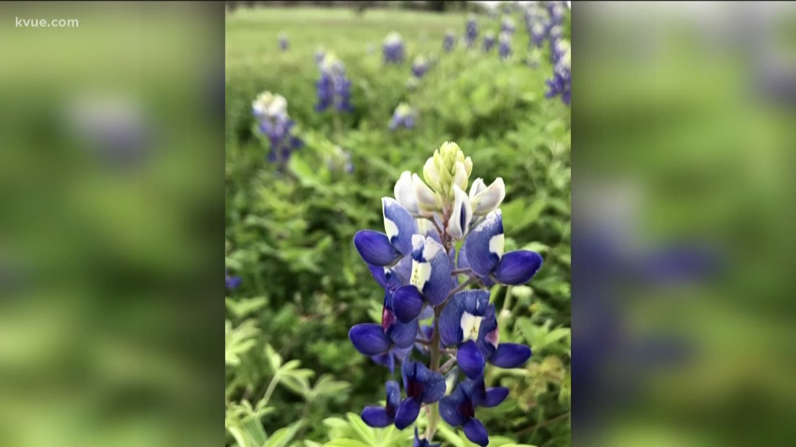 Safe things to do for spring break amid coronavirus | kvue.com