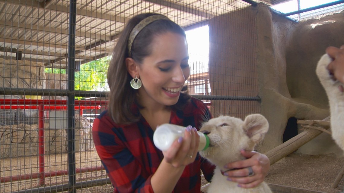 Animal World and Snake Farm Zoo in New Braunfels experience | kvue.com