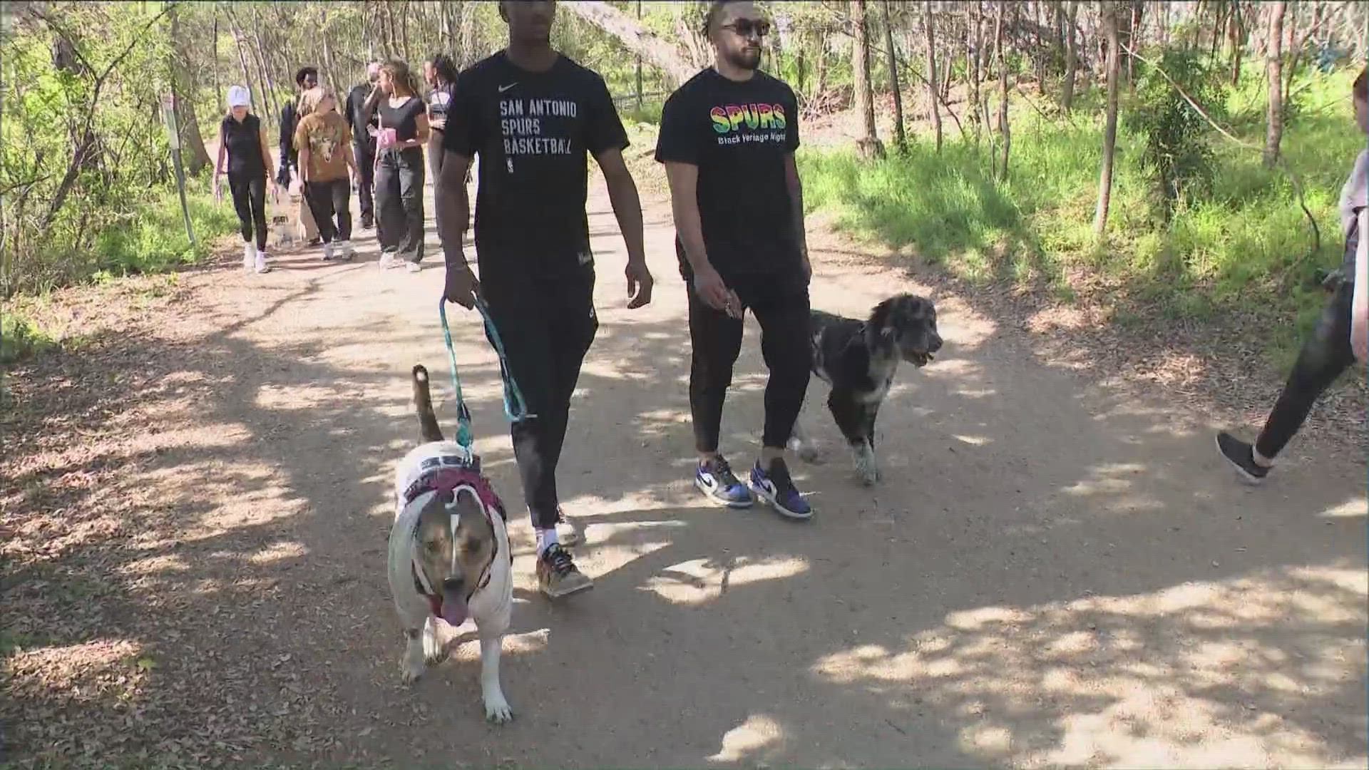 Spurs guard, Texas Ex Sir'Jabari Rice walks dog at Lady Bird Lake ...