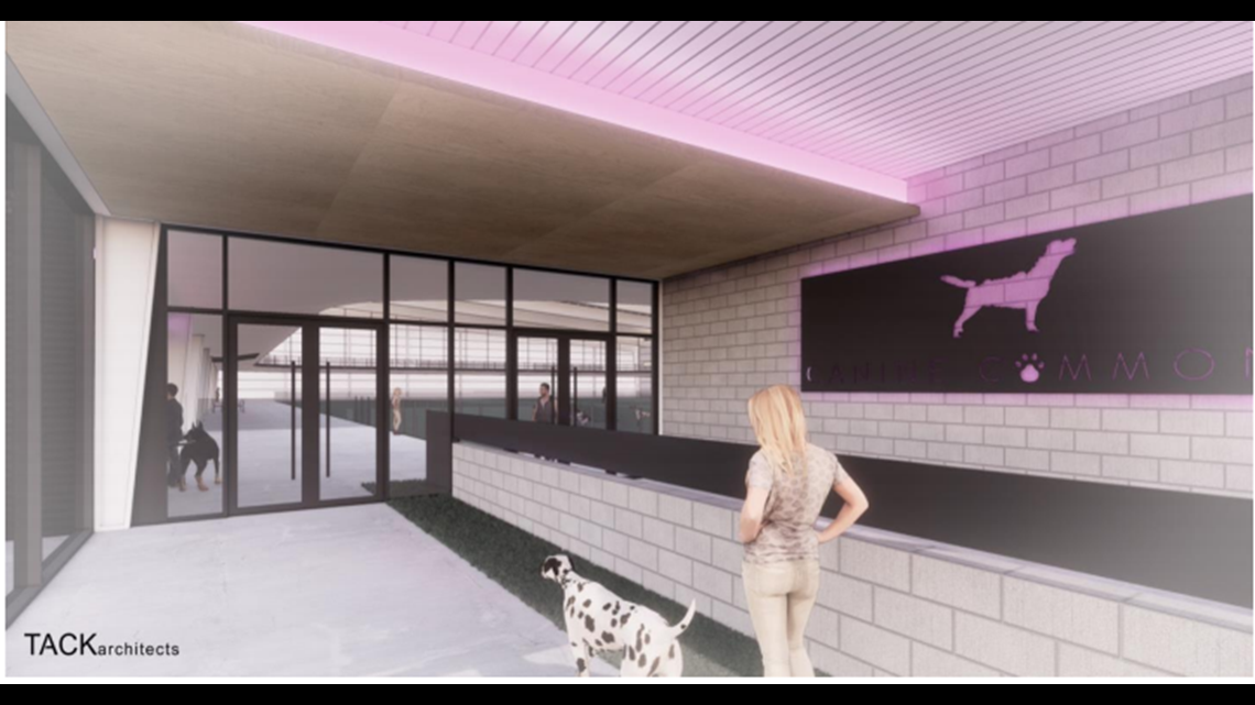 Austin's Canine Commons: Indoor dog park comes to The Domain | kvue.com
